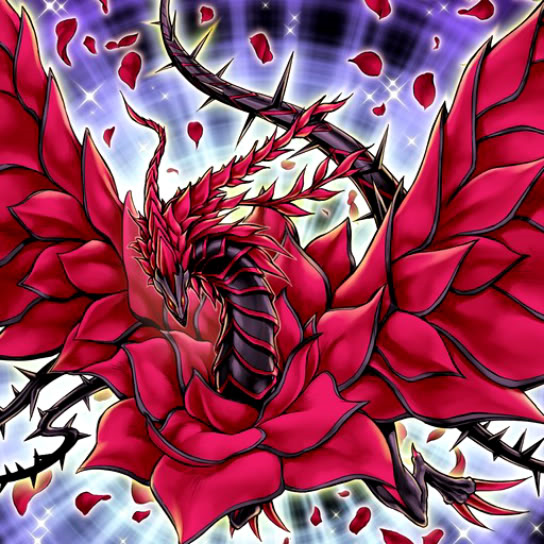 How to get Black Rose Dragon playmat (fast 100 times summon) | YuGiOh! Duel Links - GameA